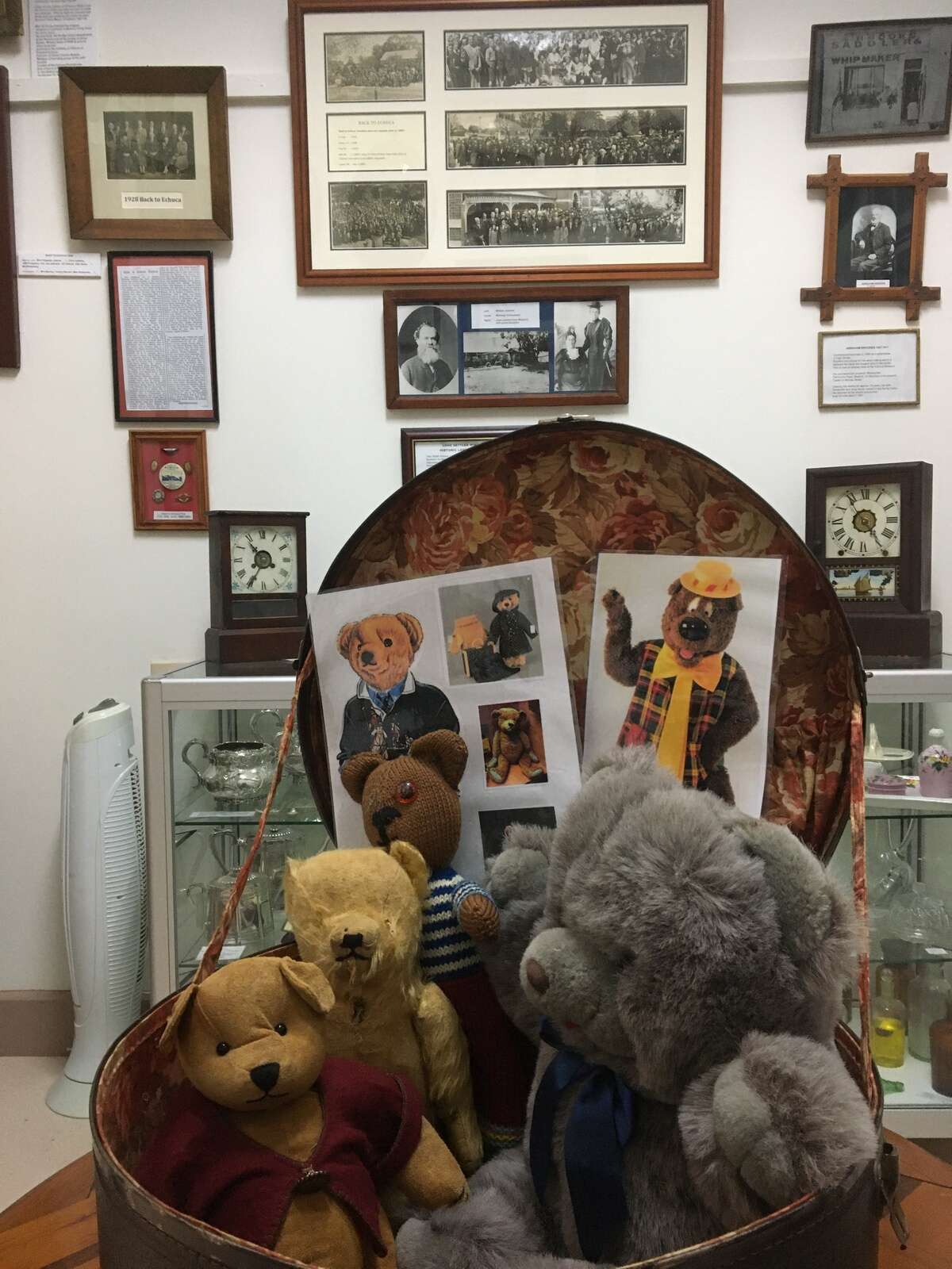 Teddy bears on show | Dairy News Australia