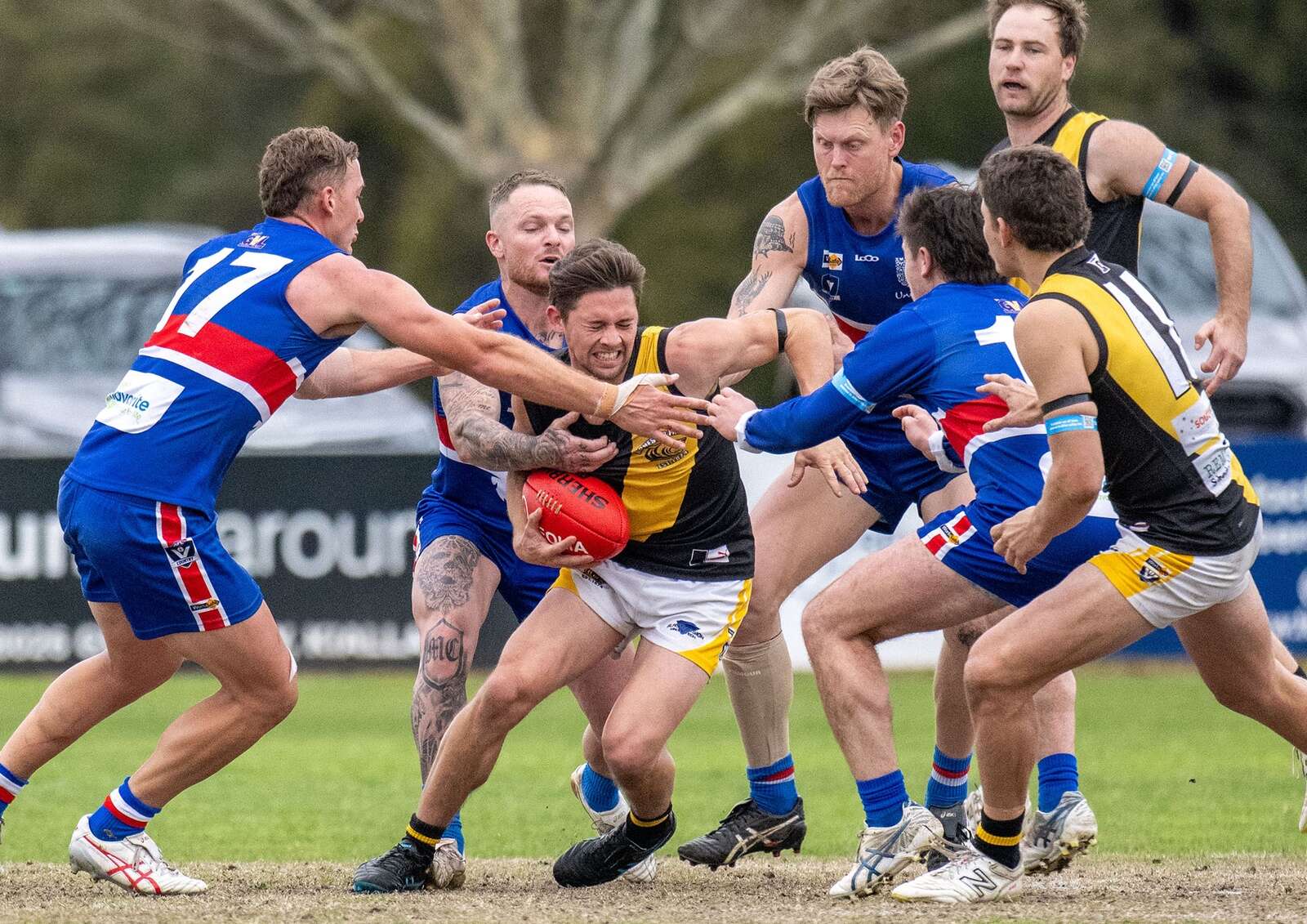 Bailey thrives on the contested ball | Deniliquin Pastoral Times