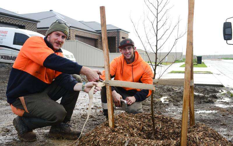 First of 1250 trees to be planted across Greater Shepparton ...