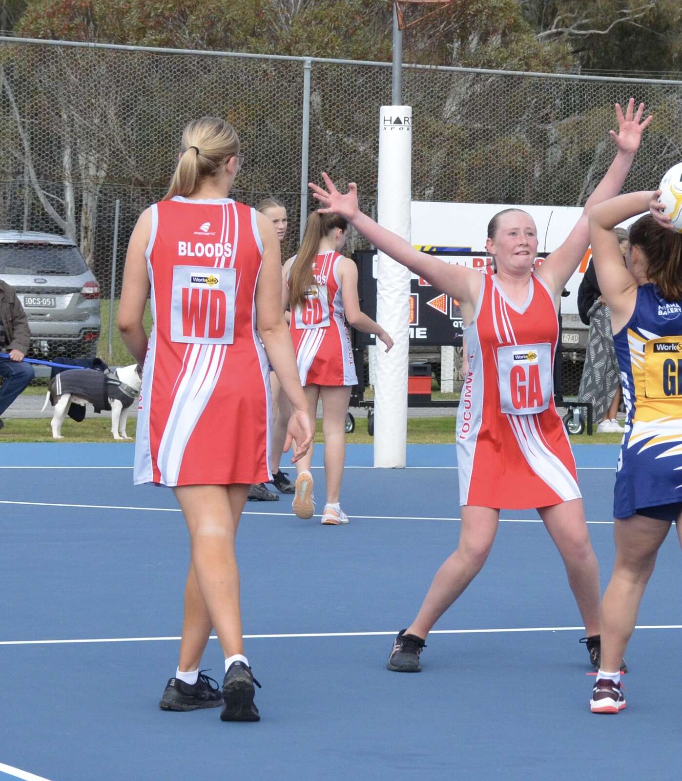 Improvement on all courts | Shepparton News