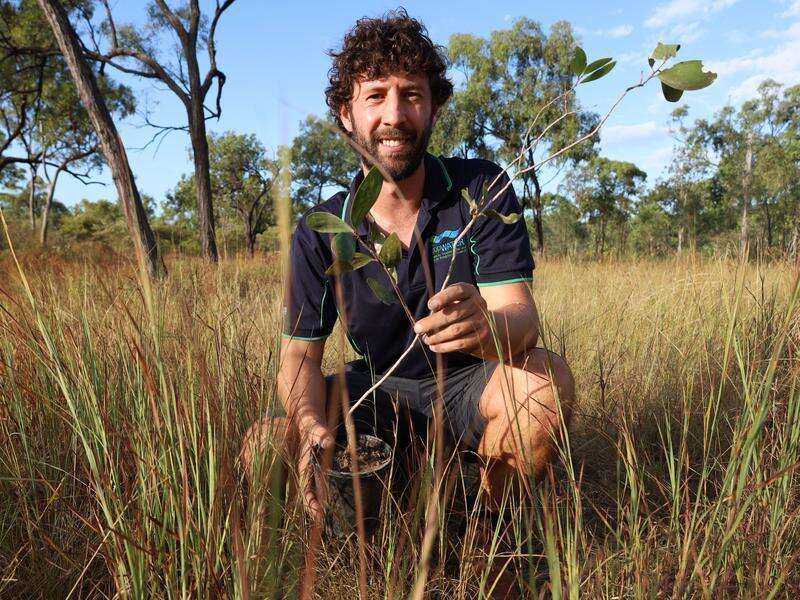 Native food potential mapped across Aust | Shepparton News