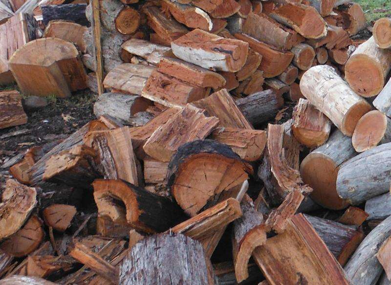 Firewood collection season opens across Victoria | Benalla Ensign