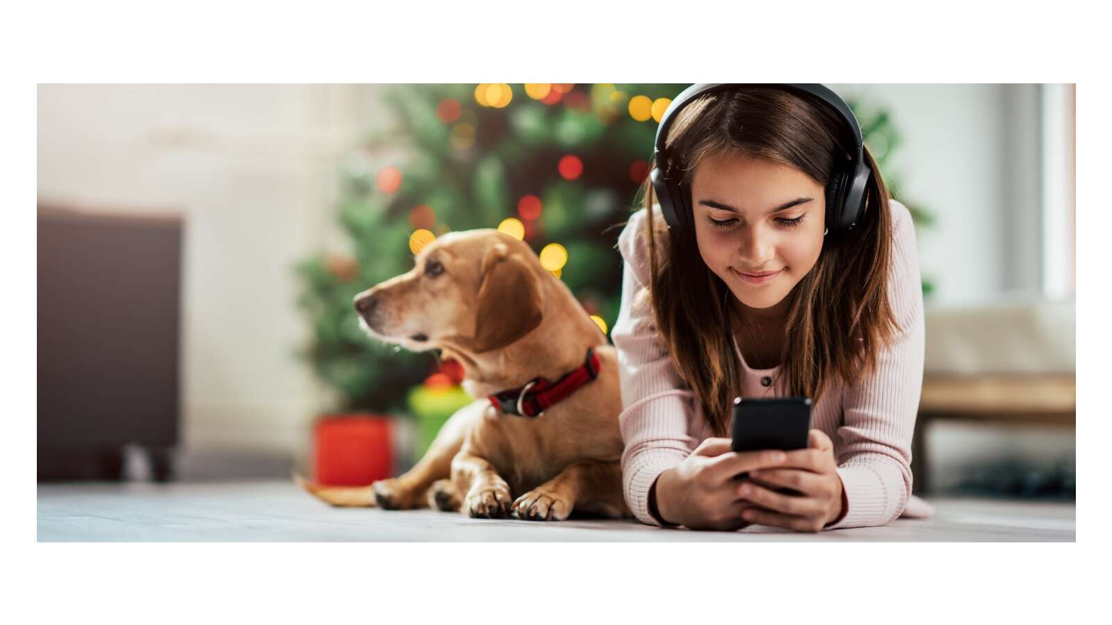 How to outwit The Scroll | Country News