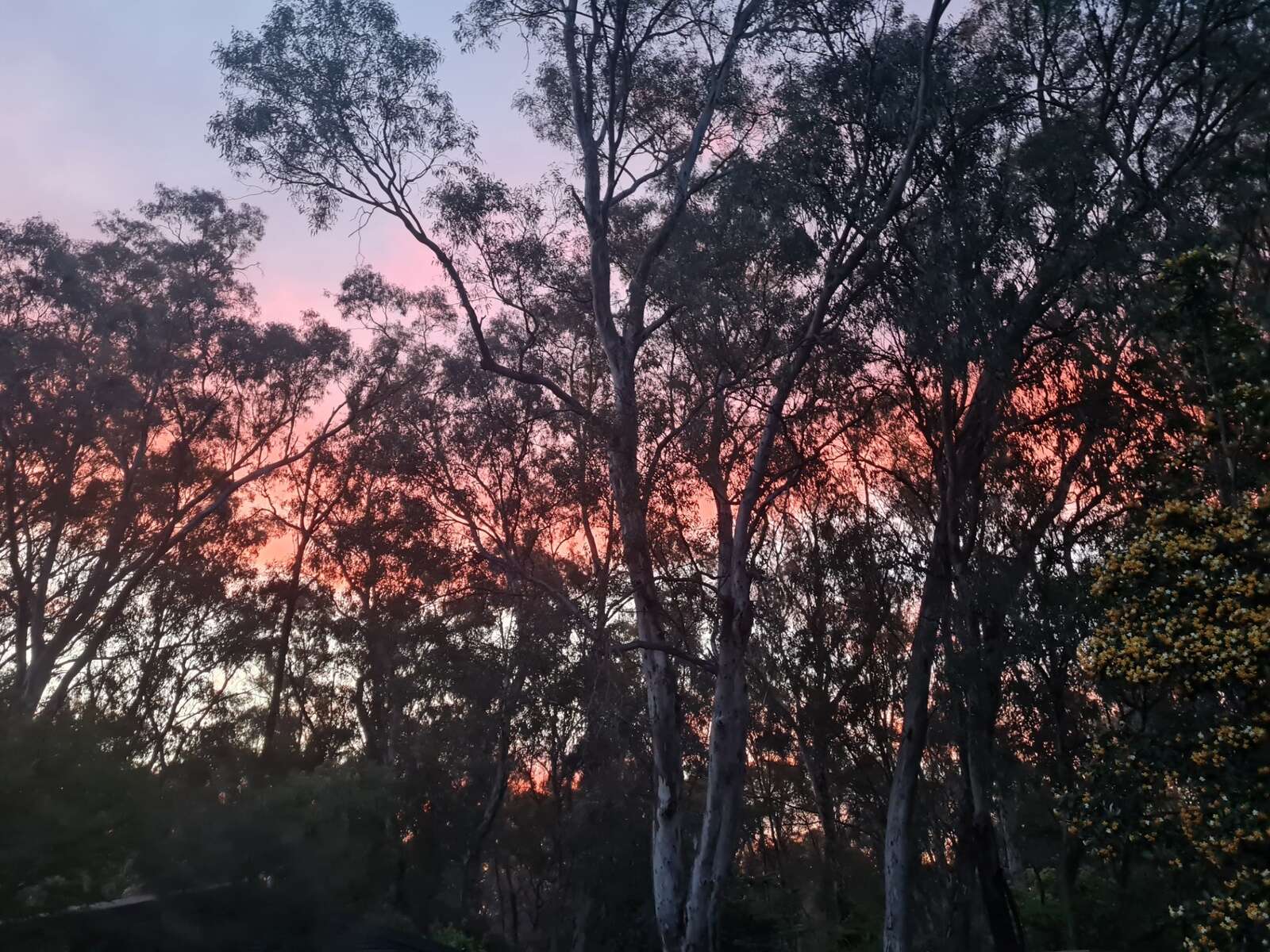 My Word | Passing moments and bad calls | Shepparton News