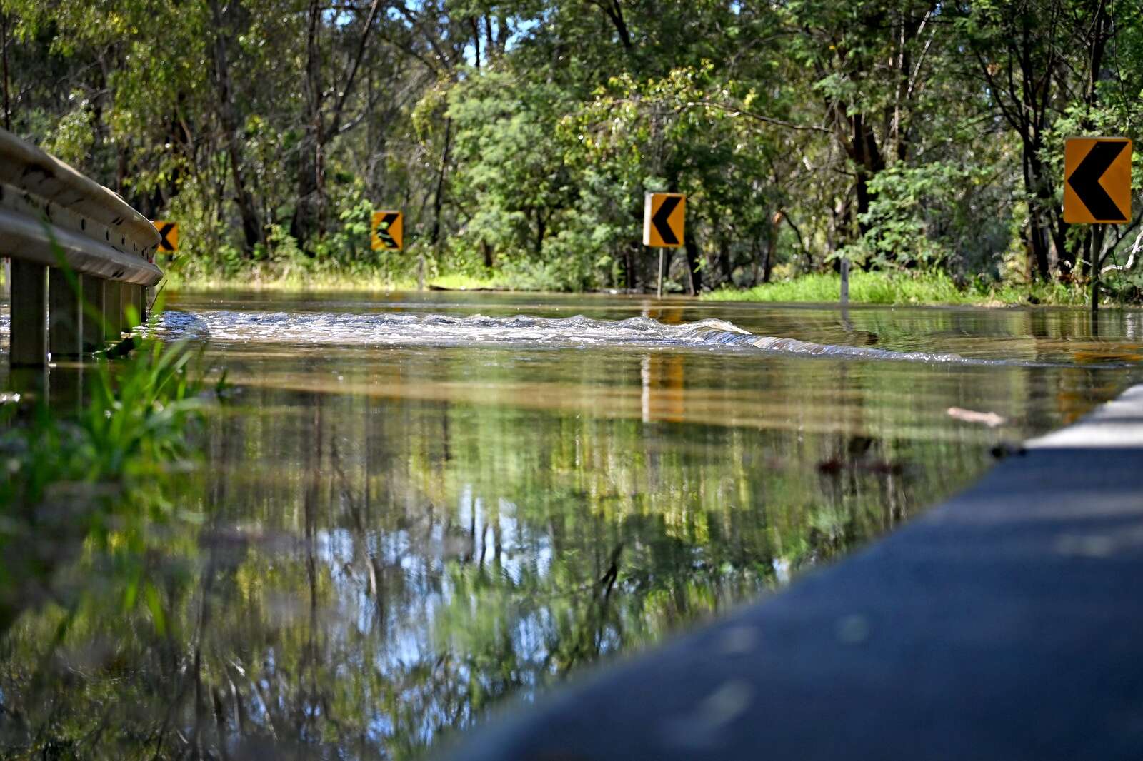 ROLLING COVERAGE | Seymour Telegraph