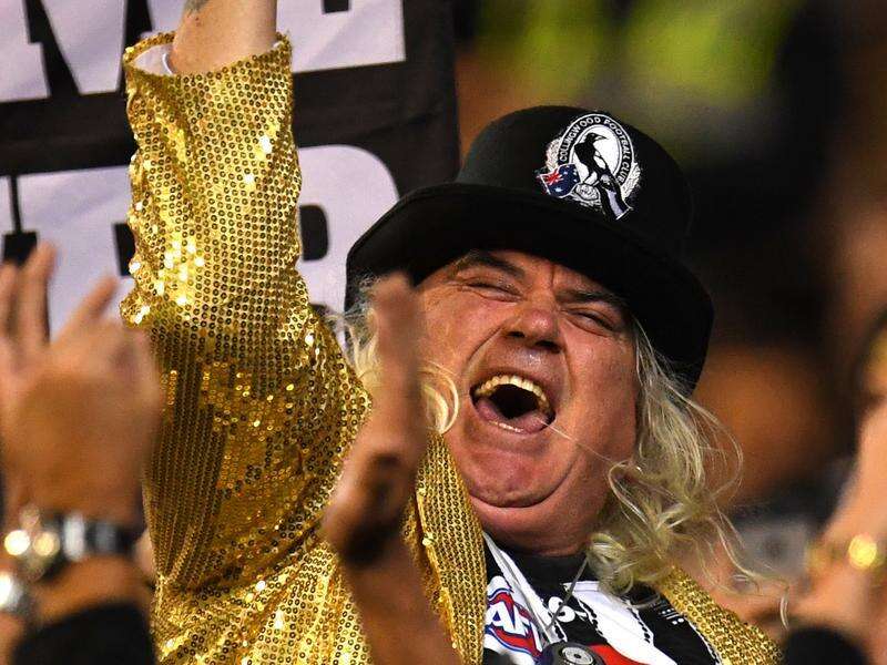 AFL superfan 'Joffa' admits assaulting boy | Riverine Herald