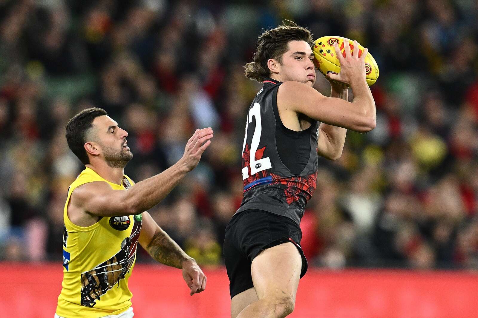 Seymour’s Sam set to fly from The Hangar long-term | Shepparton News