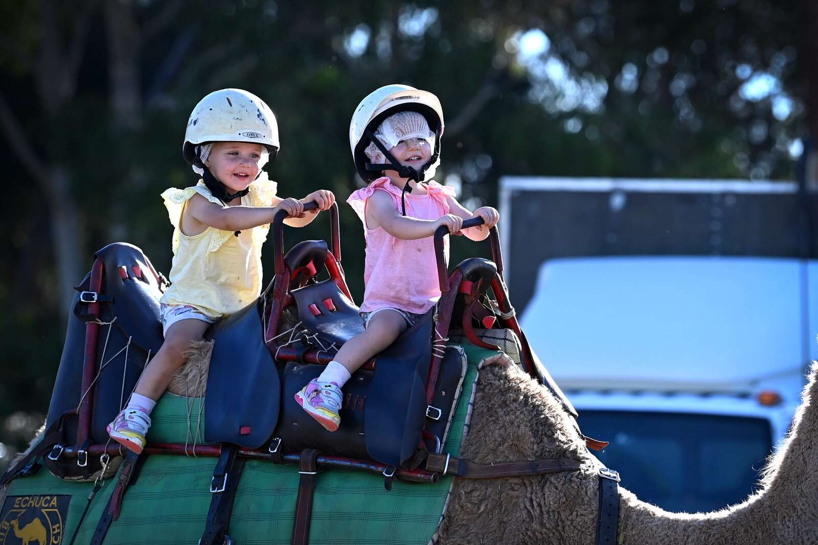 Mega gallery: All the action from the Kyabram Rodeo | Shepparton News