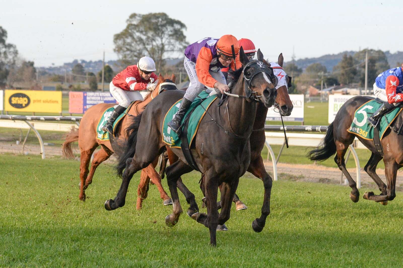 Court Painter keeps the good times rolling for Ardmona trainer ...