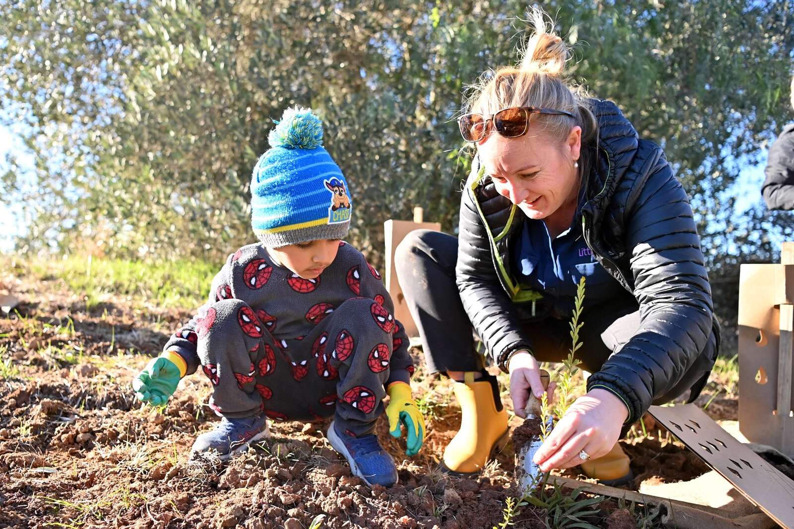 Branching out: Mooroopna community joins forces to plant trees ...