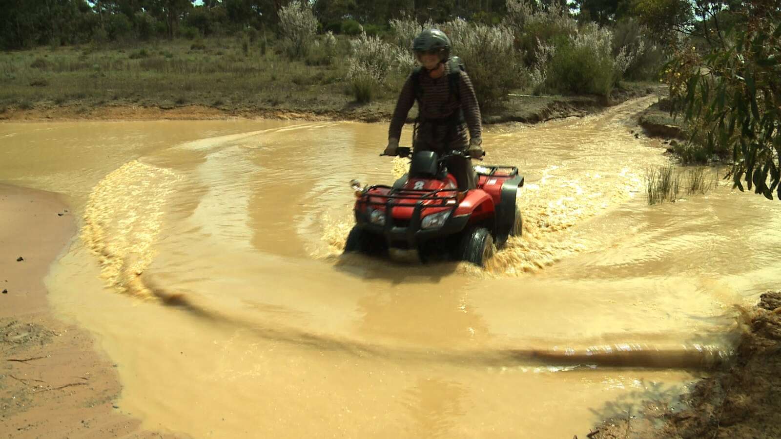 Technology making change amid quad bike crash spike | Dairy News Australia