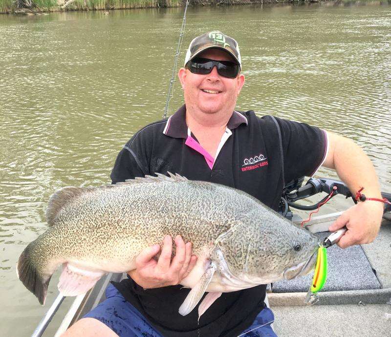 Massive cod catch ahead of Classic | Shepparton News