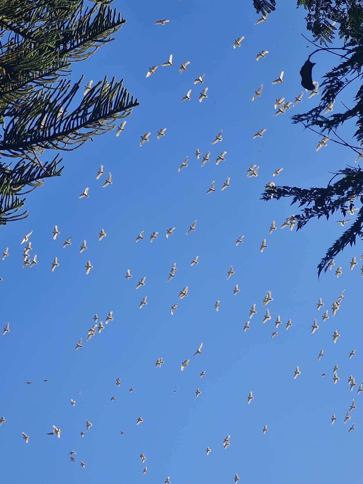 Reel Life | Flood fishing | Country News