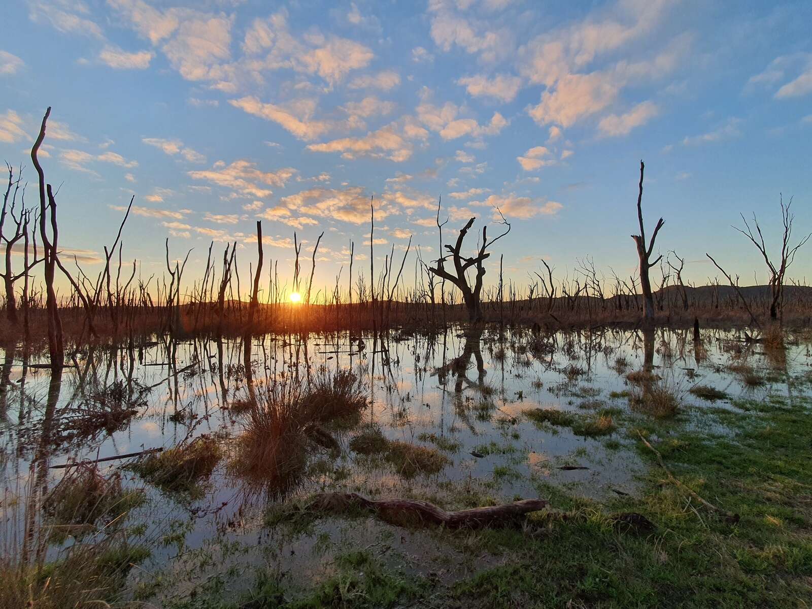 Winton Wetlands putting regional Victoria on the global map | Corowa ...