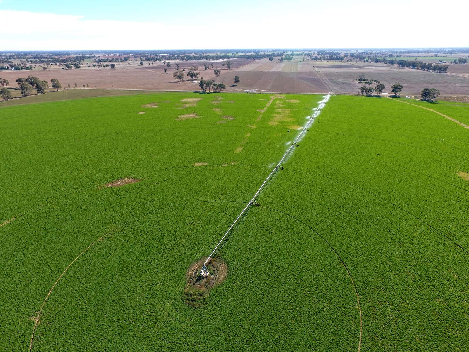 Data shows water services evolution | Southern Riverina News