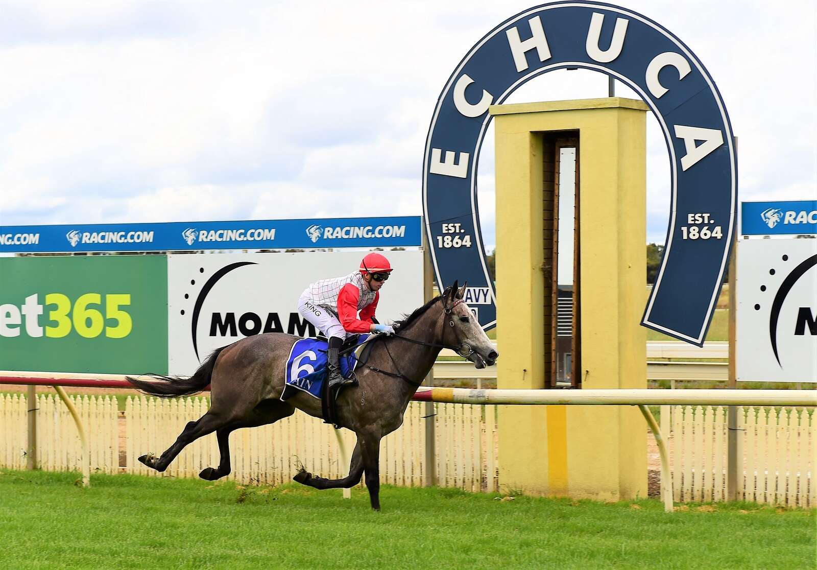 Campaspe Run’s golden dash in first-up win | Shepparton News