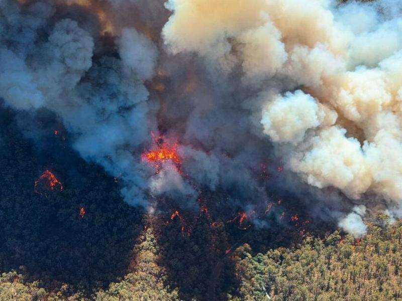 'Too late to leave': bushfire cuts evacuation routes | Shepparton News