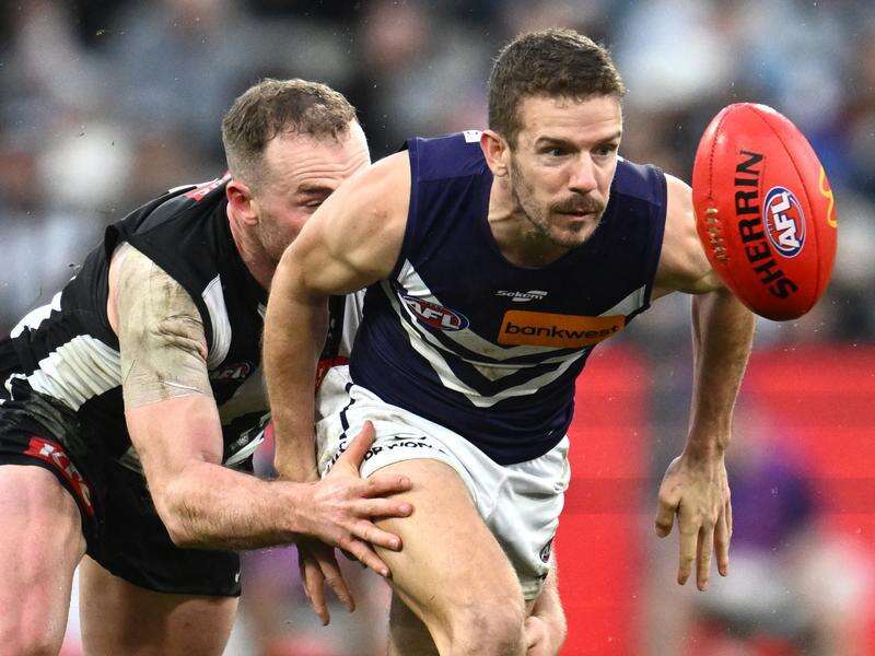 Tackling machine Switkowski approves AFL's rule tweaks | Kyabram Free Press