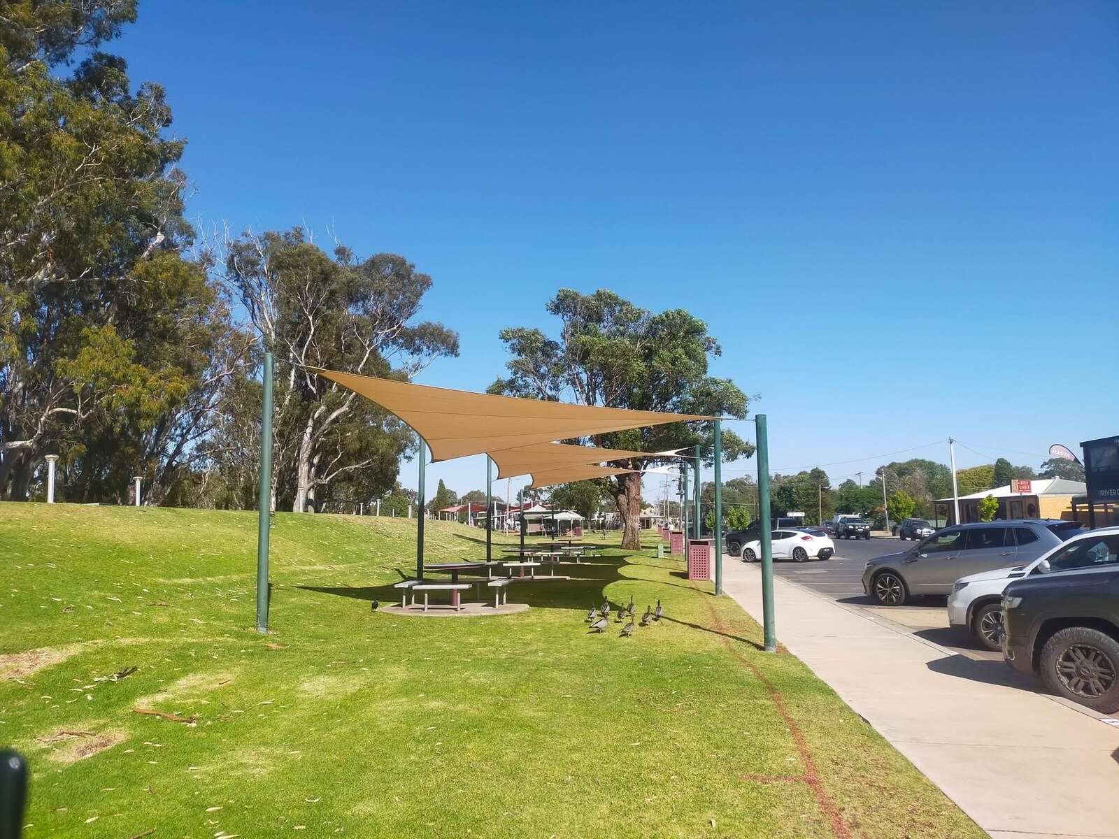 Duck race, fishing comp draw big crowds | Shepparton News