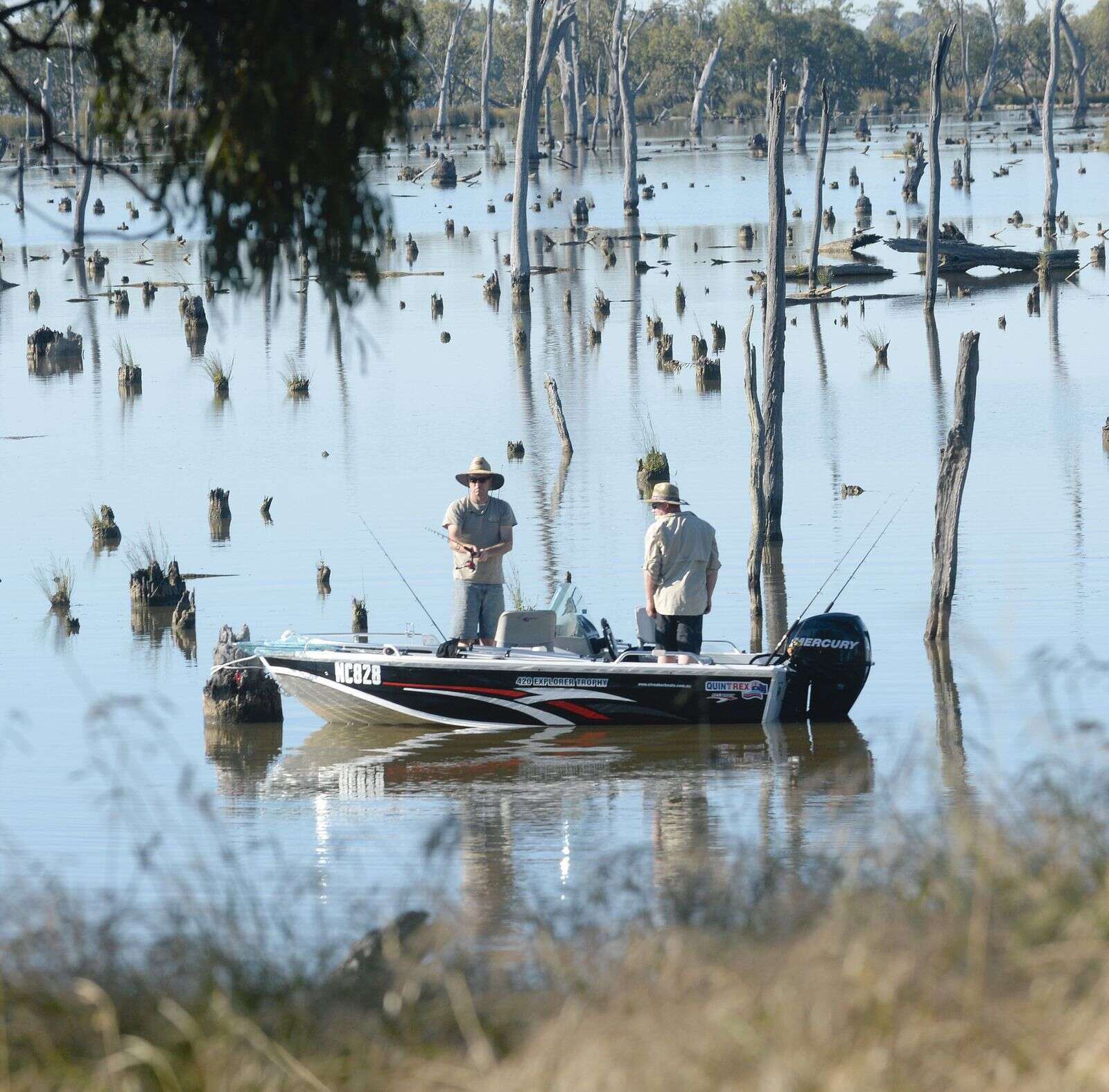 Home of the Murray Cod | Shepparton News