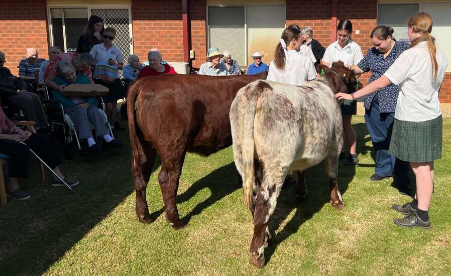 Bringing the farm to Finley Regional Care | Southern Riverina News