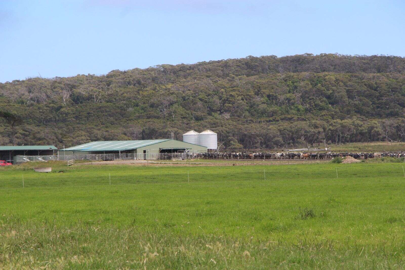 Big changes for Van Dairy | Country News