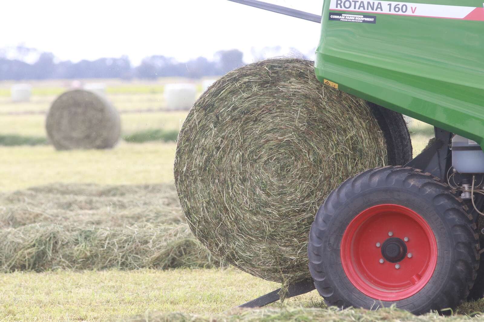 Taking control of hay quality | Country News