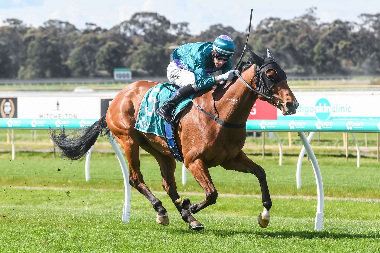 Master Bartholdi claims victory for Shepparton’s Liam Howley at Bendigo ...