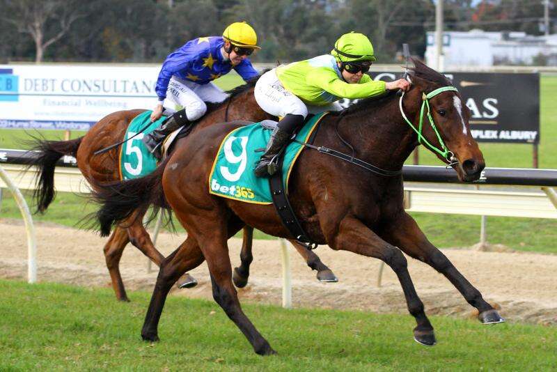 What's next for Red Impulse? | Shepparton News