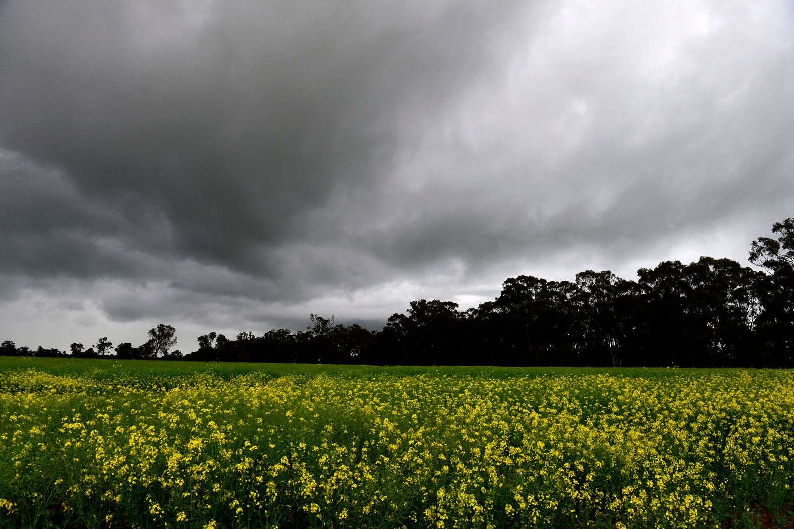 September rainfall | Country News