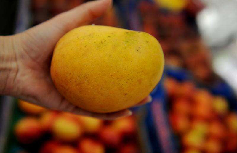 Moama Bakery gives every juice and ice cream to bushfire relief ...