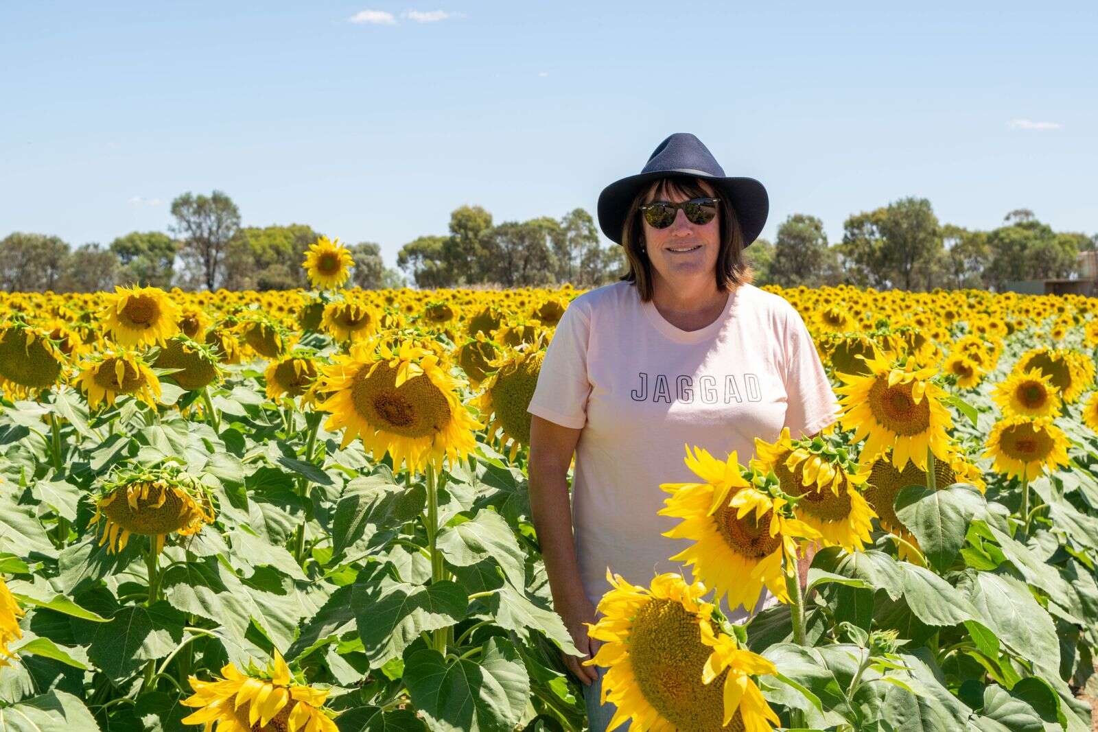 Patho Park Petals a perfect photo-op | Riverine Herald