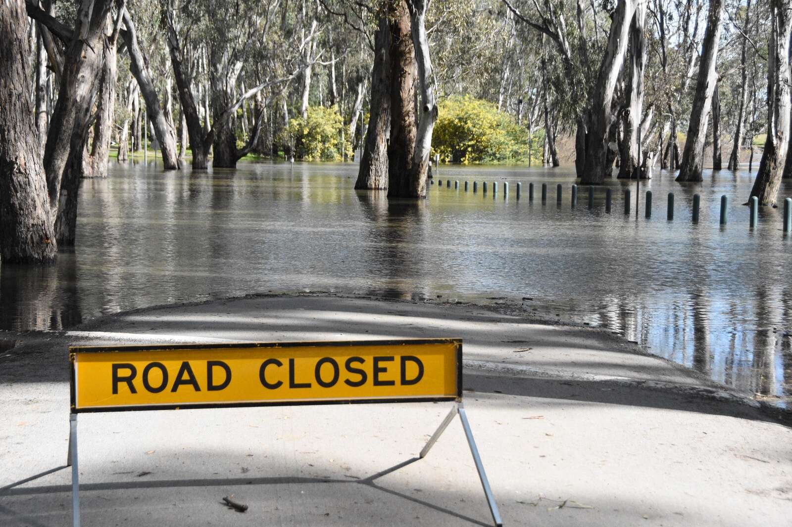 Stay prepared and ready for flood | Cobram Courier