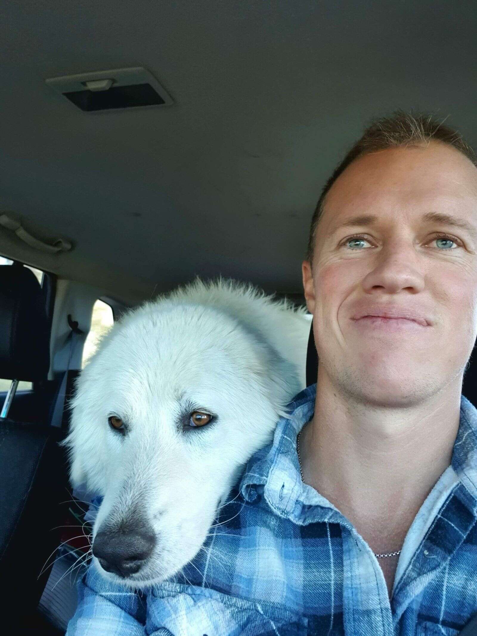 Luna campaign companion | Shepparton News
