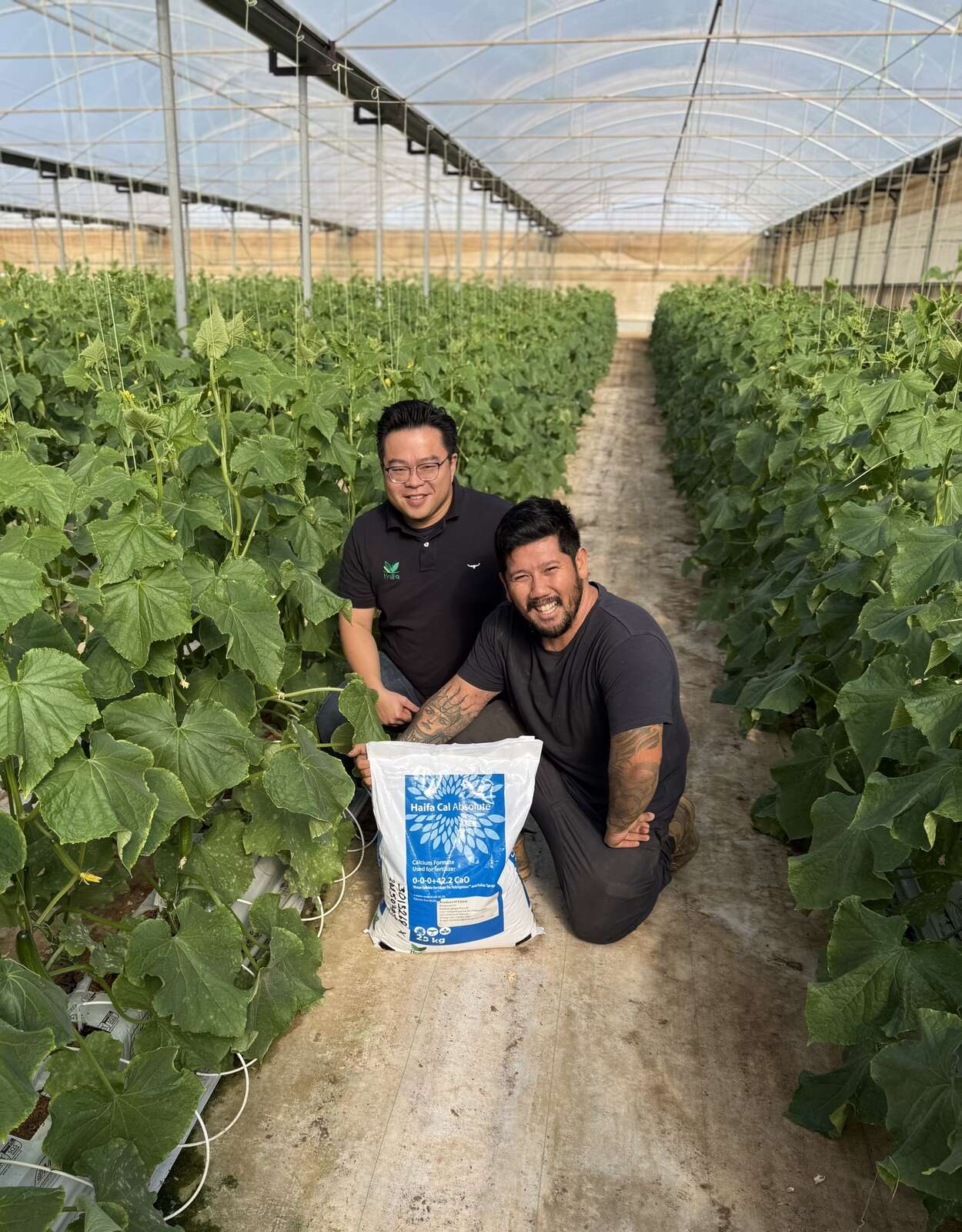 New calcium fertiliser unlocks future crop potential | Country News