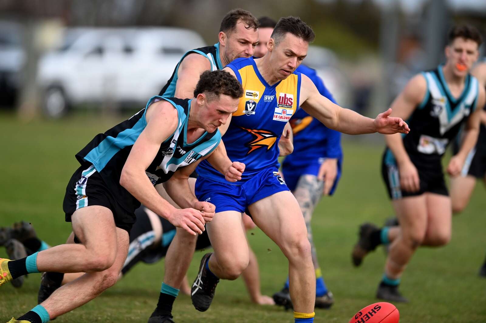 Gallery: Eagles maintain top spot in KDL | Shepparton News