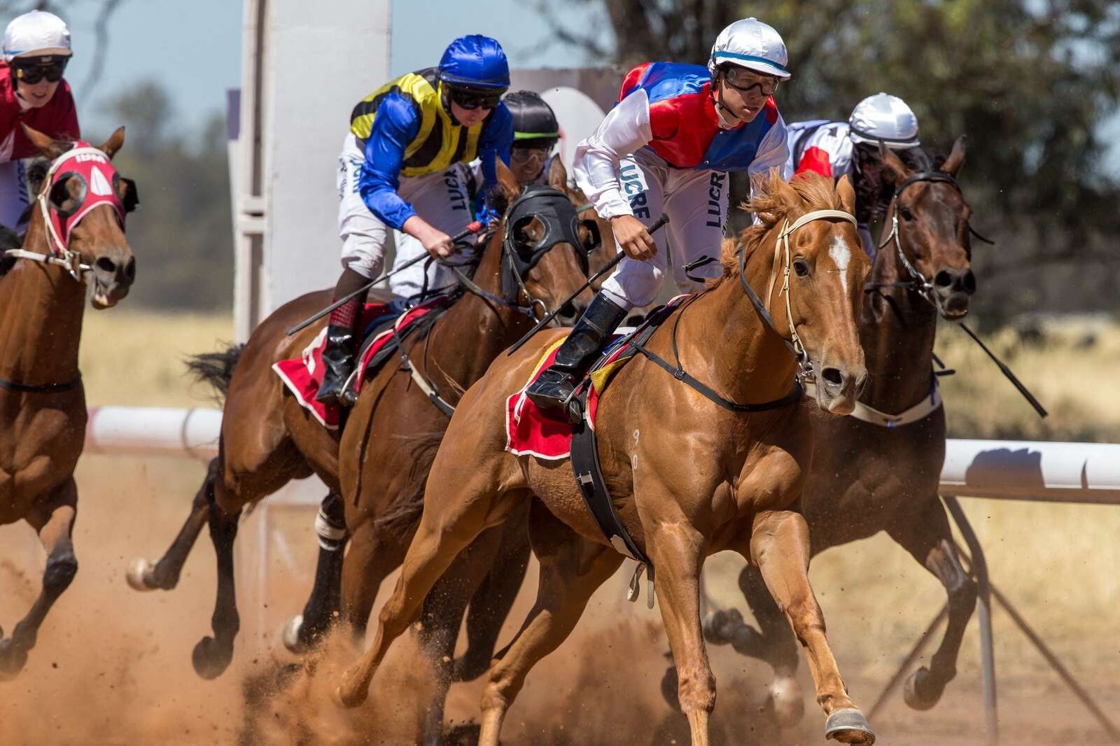 Country racing still strong | Country News