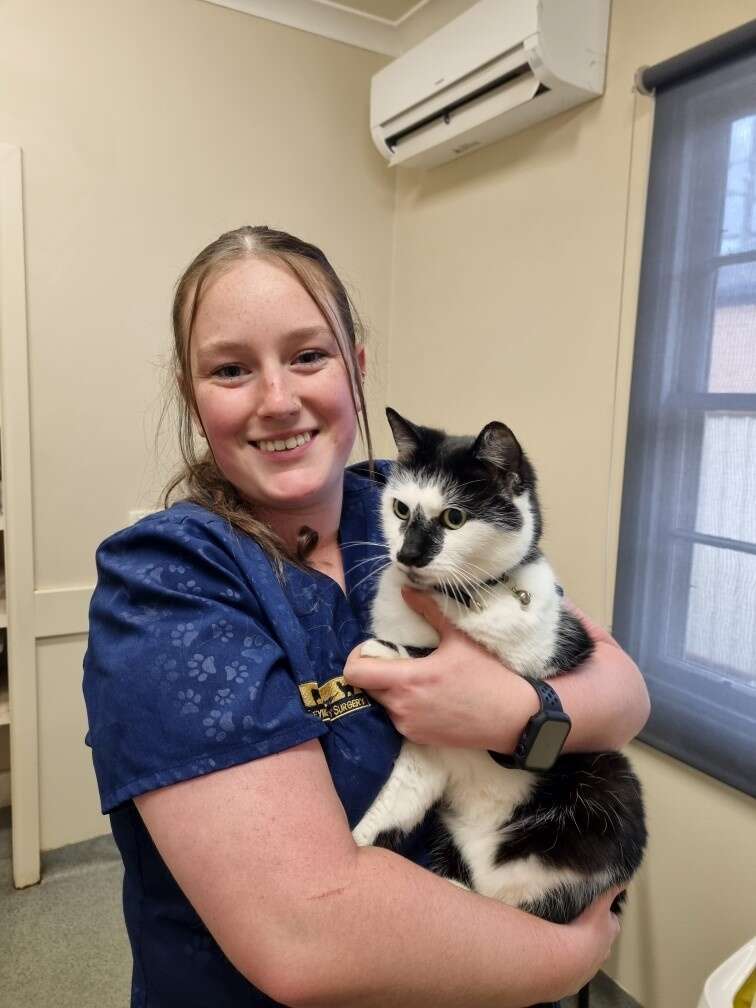 Purr-fect ending | Kyabram Free Press