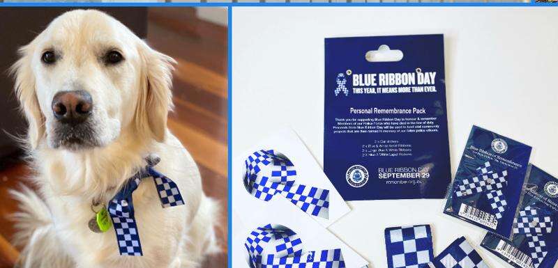 Blue Ribbon Day means more than ever | Shepparton News