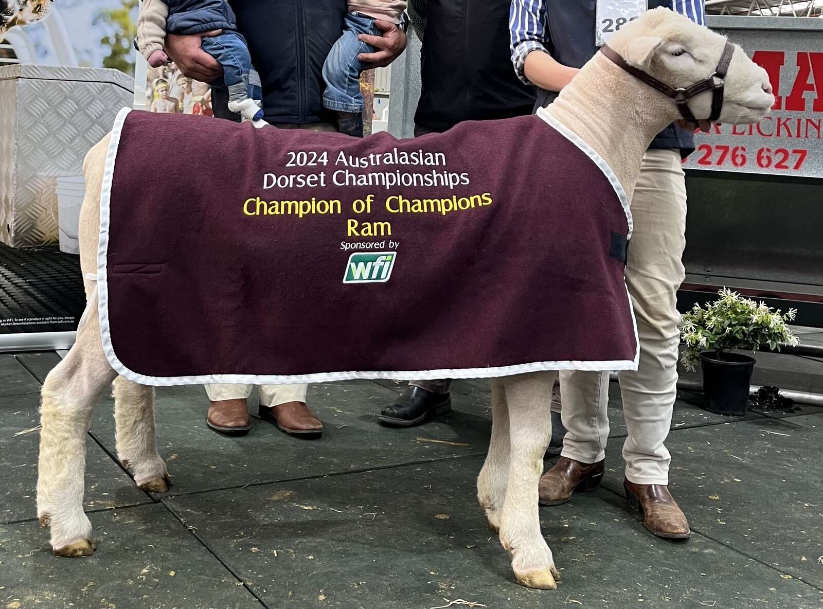 Champion of Champions crowned | Dairy News Australia
