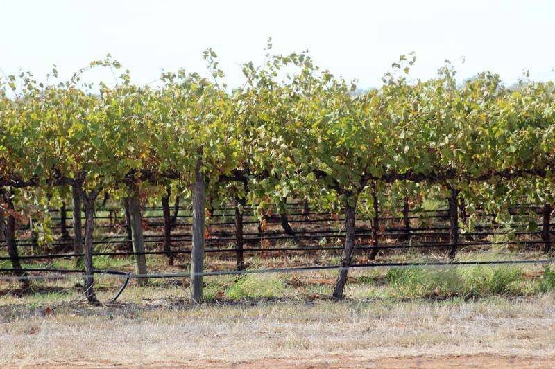 Prune It Back | Hubris, hyacinths and habitats | Country News