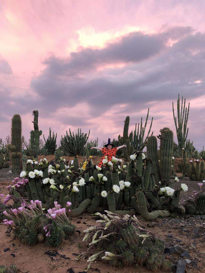 Cactus Country comes alive with Halloween spirit | Cobram Courier