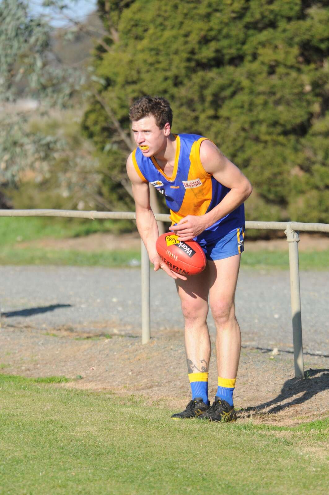 Reigning premier nearing full strength | Shepparton News