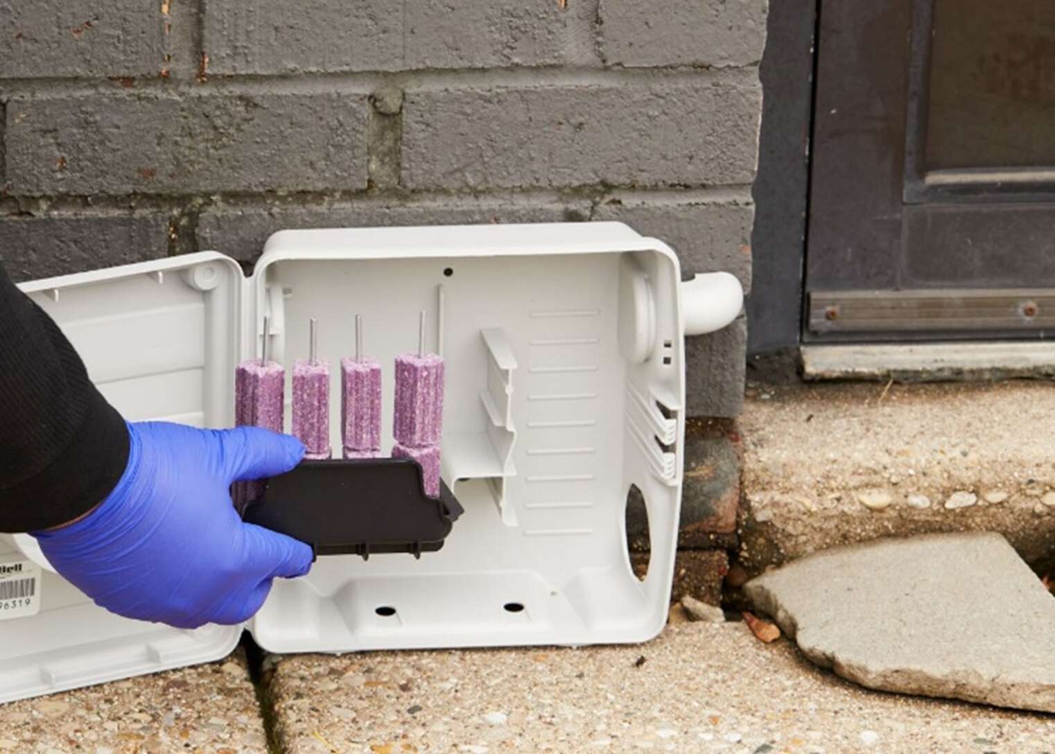 Tomcat 24: Expanding rodent control | Country News