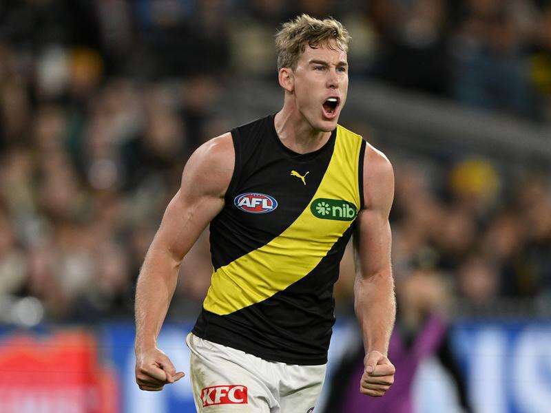 AFL not shaken by tribunal challenges: footy boss | Country News