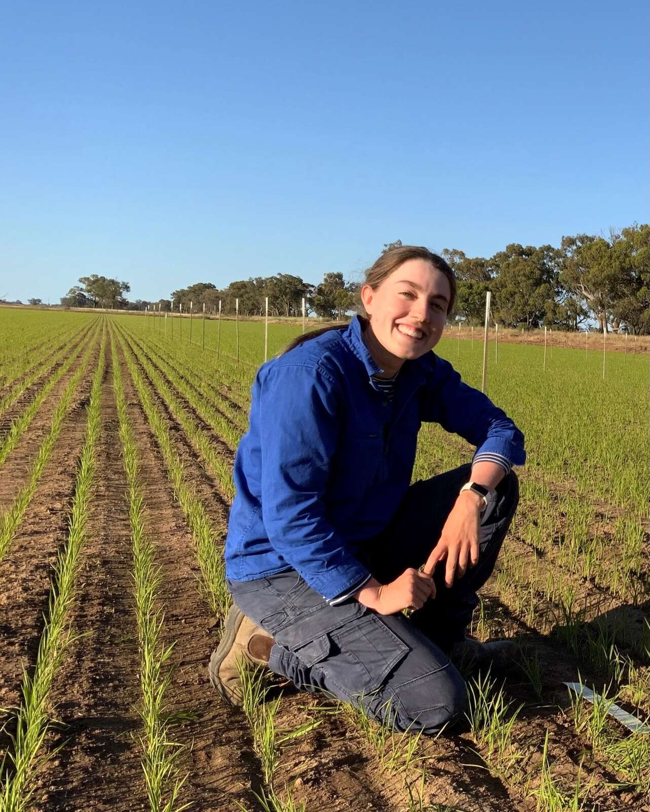 Rice scholars announced | Dairy News Australia