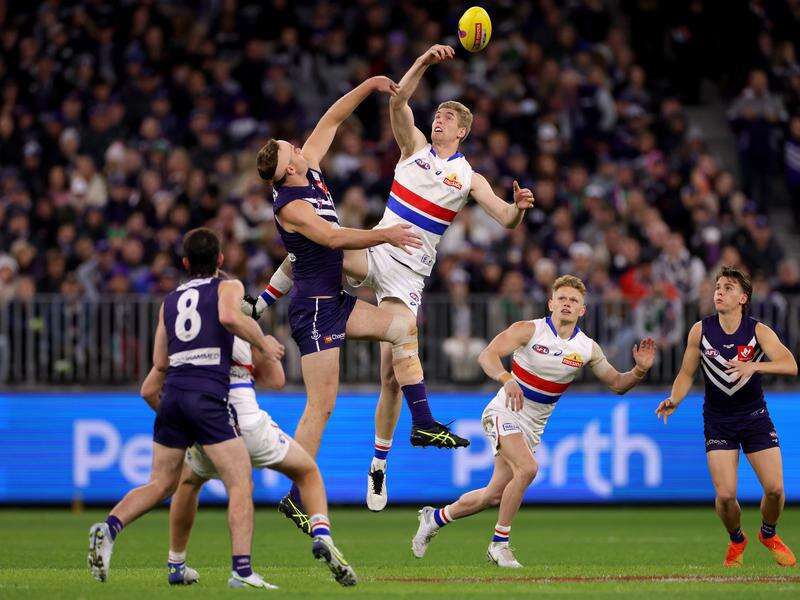 Snapshot of Fremantle's AFL final triumph | Benalla Ensign