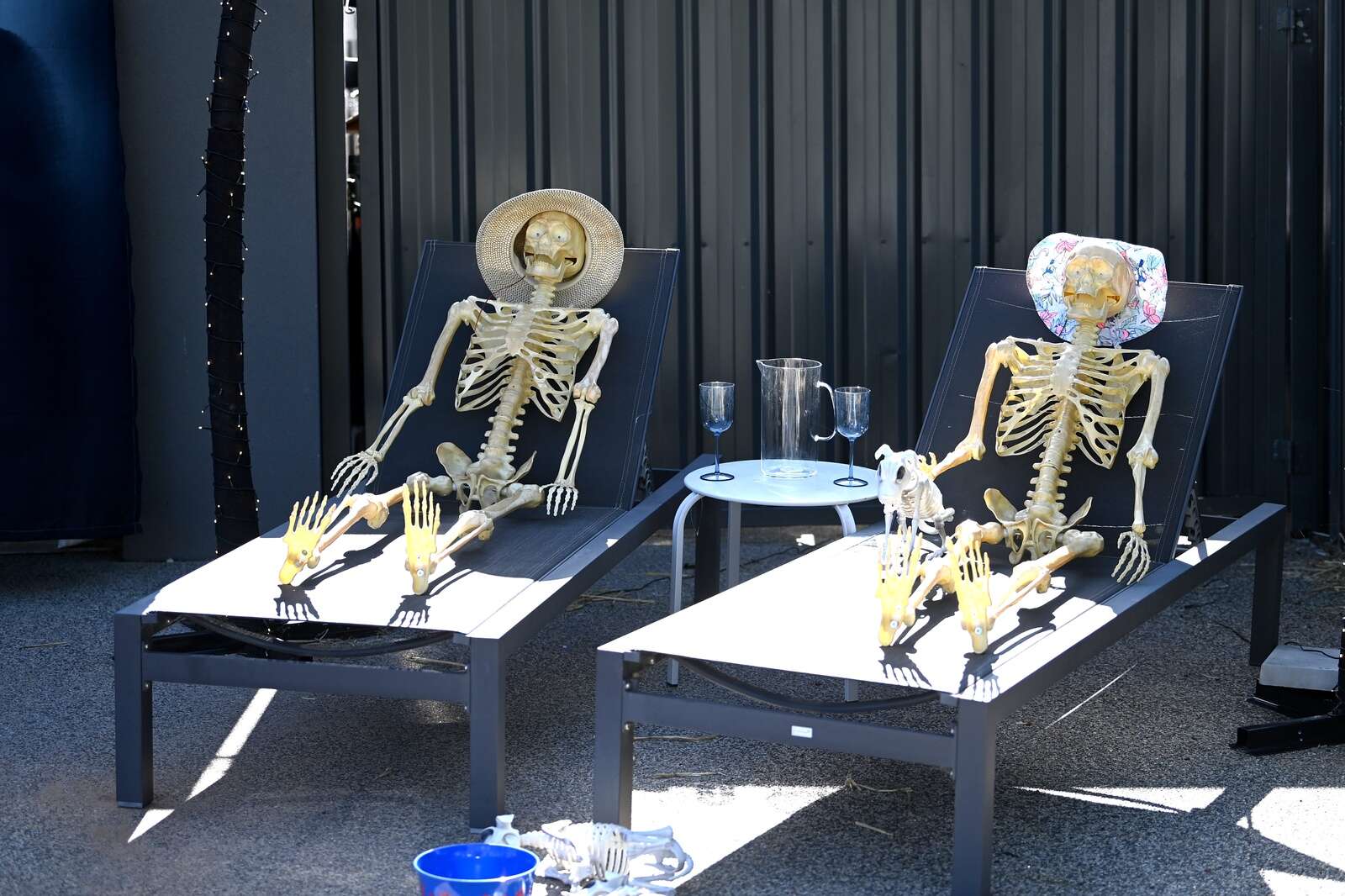 Gallery | Halloween a hit in Shepparton | Shepparton News