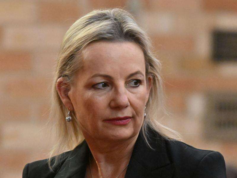 Dutton announces changes to coalition's front bench | Shepparton News