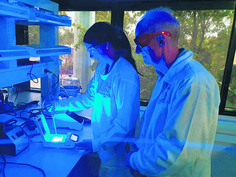 Funding boost for XING Technologies disease testing | Dairy News Australia
